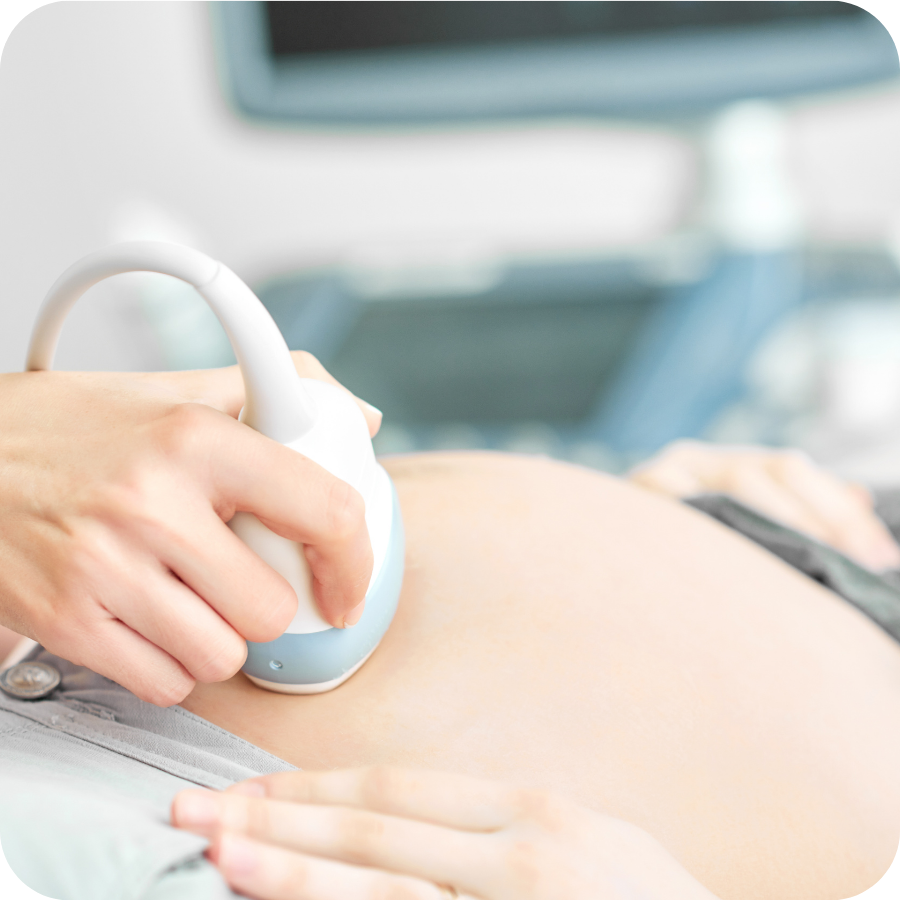 Pregnancy Scans | HerView Ultrasound – Herview Ultrasound